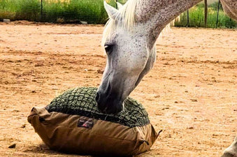 Slow Feeder Hay Bag - Feed in a Natural Grazing Position — Hay Pillow®